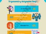 Trigonometry Assignment Help Online By Expert The Assignment Helpline